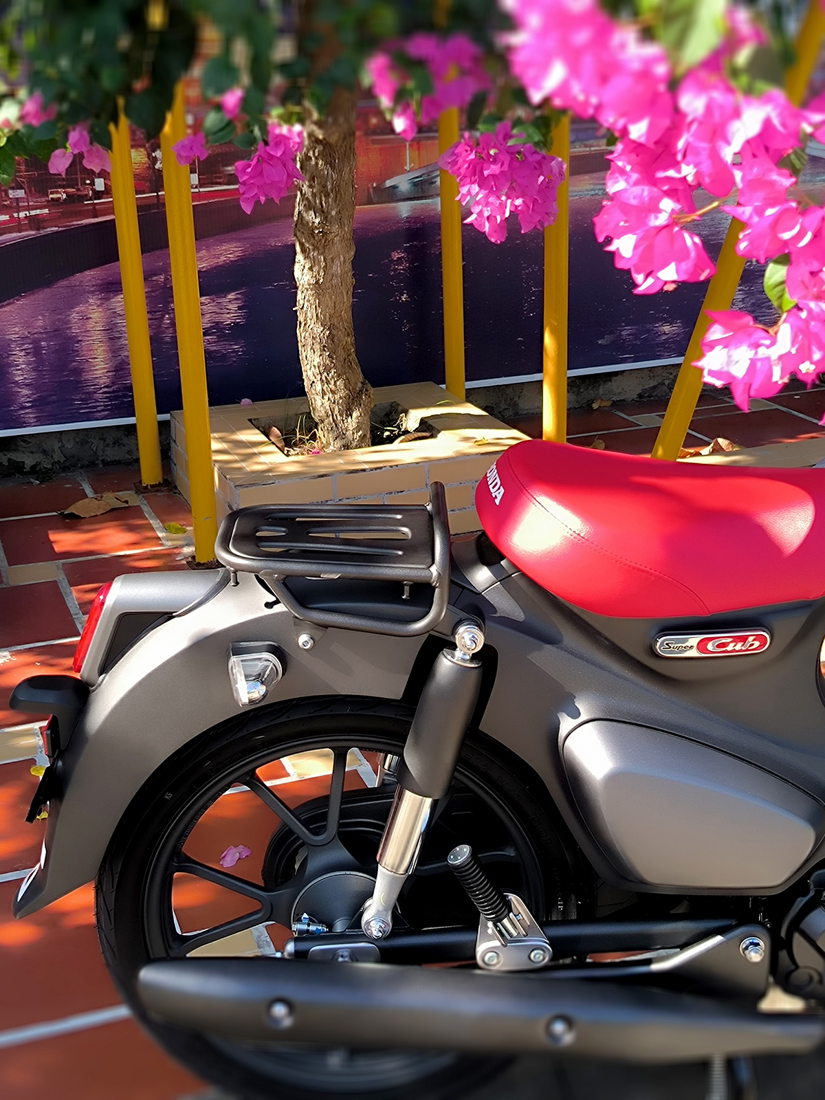 Super Cub C125 ABS Nội Địa Nhật, Made In Japan, Đã Chính Thức Về Việt Nam